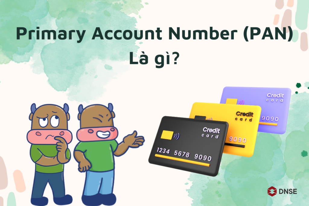 Primary Account Number (PAN) là gì? Những điều về PAN mà bạn chưa biết