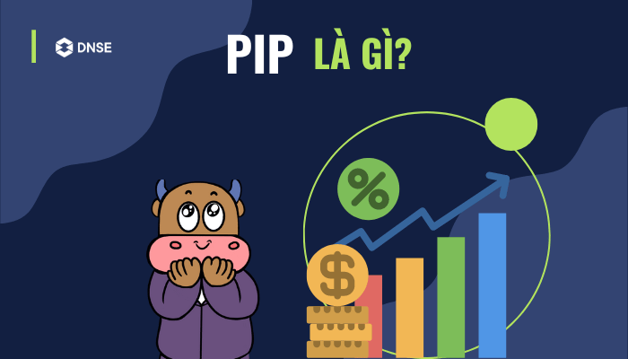 PIP là gì? Tìm hiểu về PIP trong thị trường đầu tư