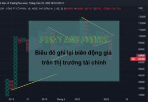 Biểu đồ Point and Figure – Các biến trong biểu đồ PnF