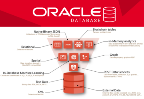 Larry Ellison là ai? “Cha đẻ” của tập đoàn công nghệ Oracle